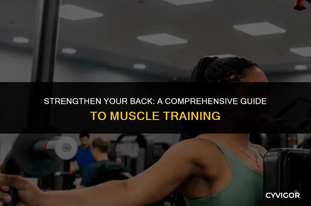 Strengthen Your Back: A Comprehensive Guide To Muscle Training | CyVigor
