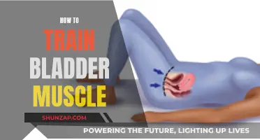 Training The Anus Muscles: Techniques For Better Control | CyVigor