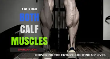 Effective Calf Muscle Training: Tips And Exercises For Strong, Toned ...
