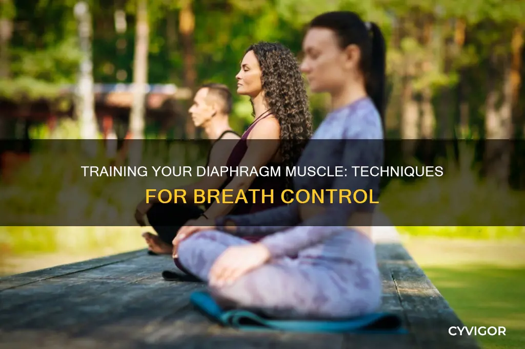 Training Your Diaphragm Muscle: Techniques For Breath Control | CyVigor