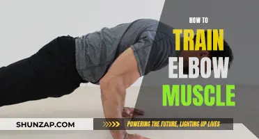 Training The Gracilis Muscle: A Comprehensive Guide | CyVigor