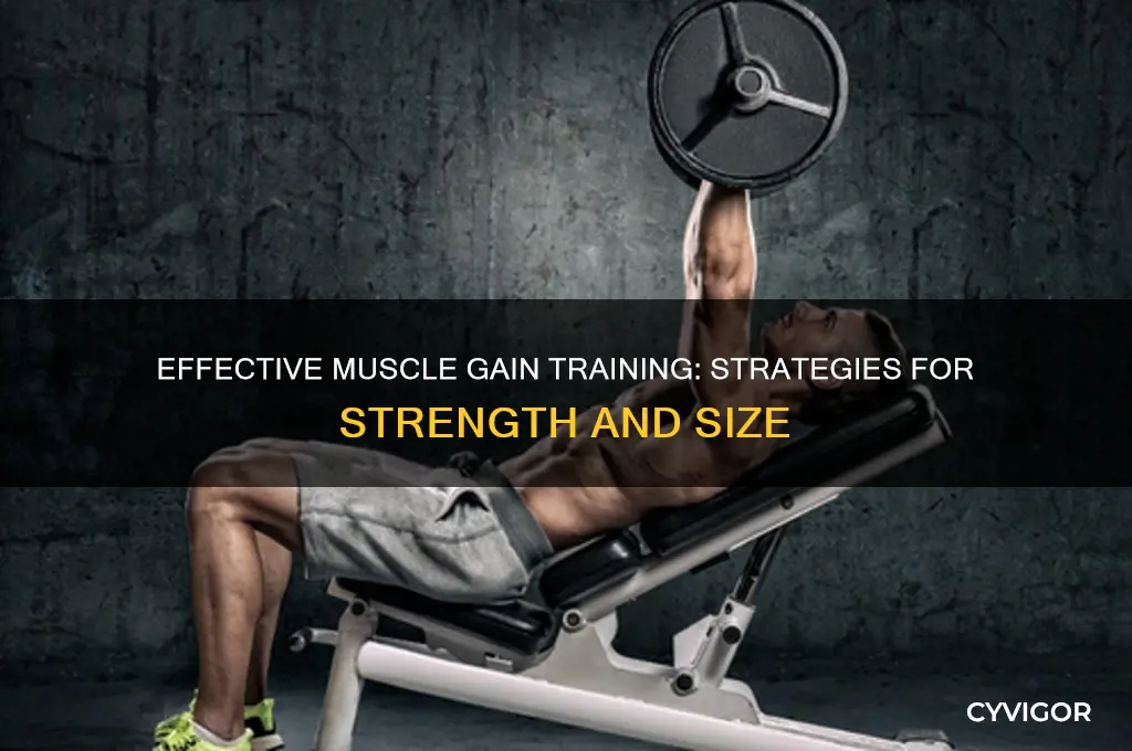 Effective Muscle Gain Training: Strategies For Strength And Size | CyVigor