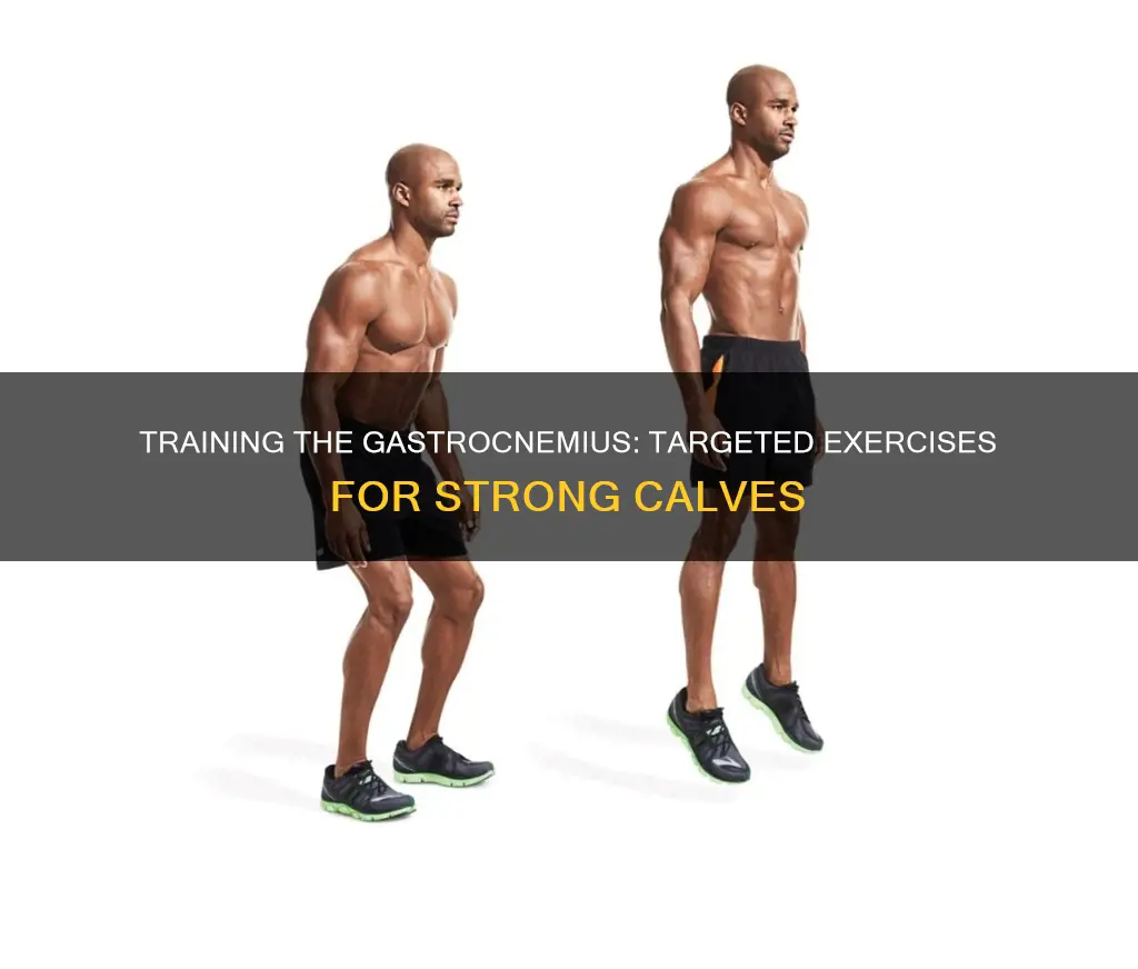 Training The Gastrocnemius: Targeted Exercises For Strong Calves | CyVigor