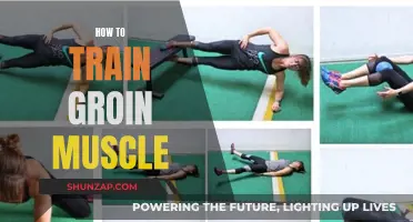 Training The Gracilis Muscle: A Comprehensive Guide | CyVigor