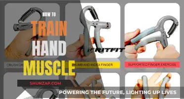 Training The Gracilis Muscle: A Comprehensive Guide | CyVigor