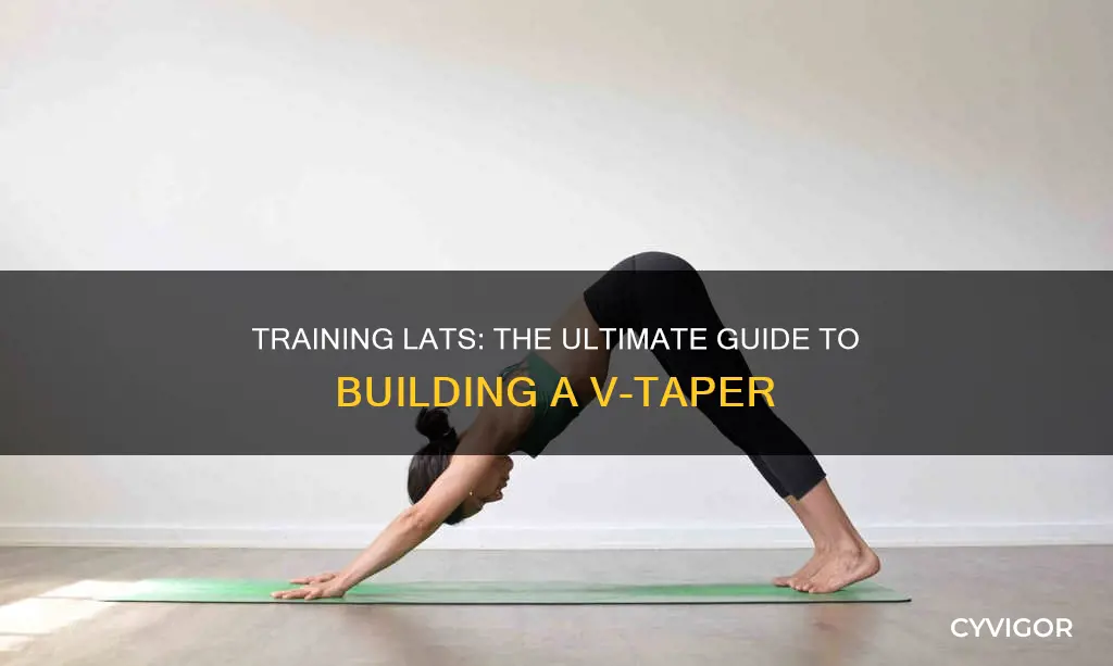 Training Lats: The Ultimate Guide To Building A V-Taper | CyVigor