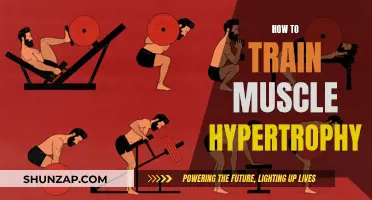 Training Intercostal Muscles: A Guide To Breathing And Core Exercises ...