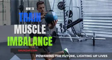 Training Intercostal Muscles: A Guide To Breathing And Core Exercises ...