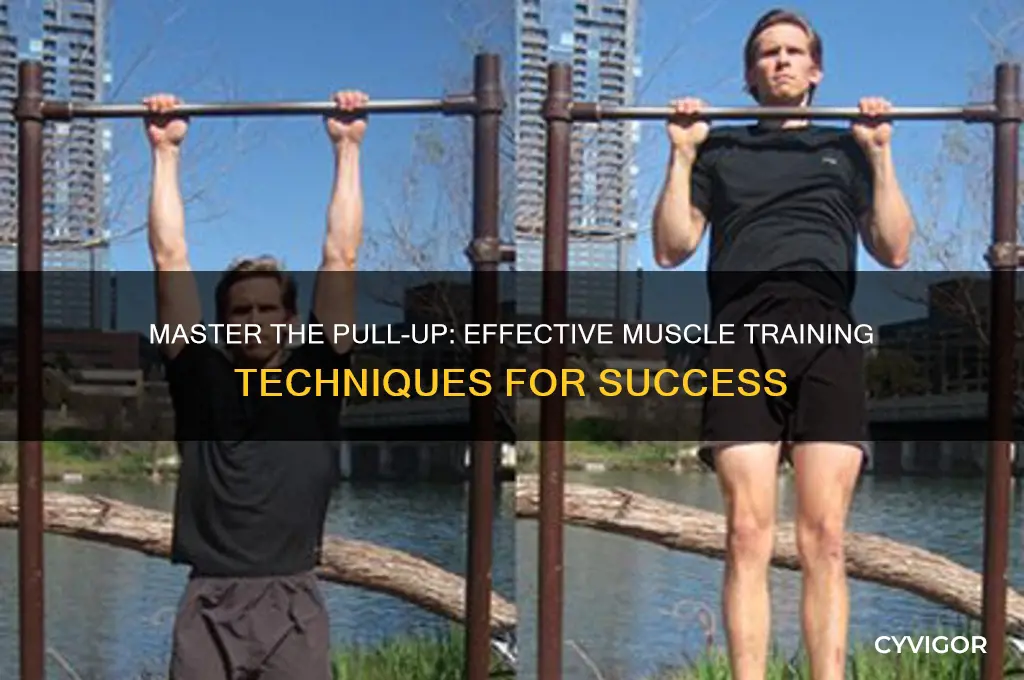 Master The Pull-Up: Effective Muscle Training Techniques For Success ...
