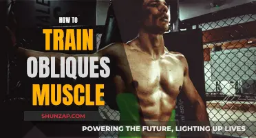 Training The Popliteus Muscle: A Guide To Isolation And Strengthening ...