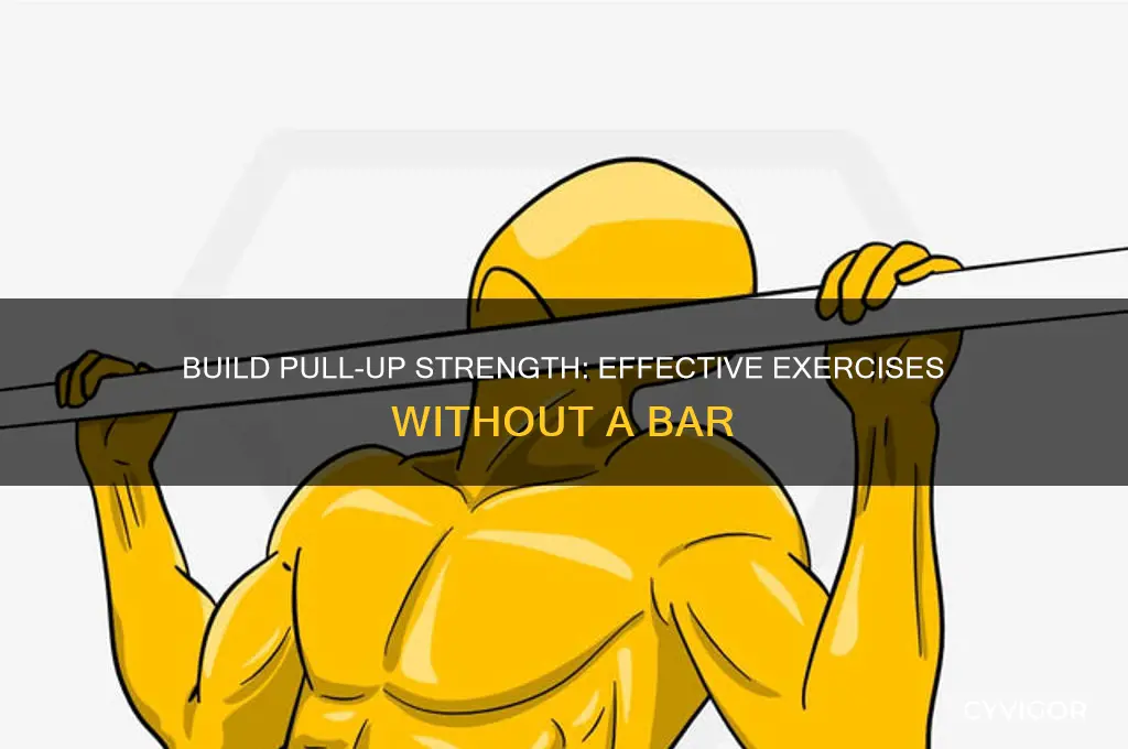 Build Pull-Up Strength: Effective Exercises Without A Bar | CyVigor
