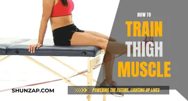 Sternocleidomastoid Muscle Training: Simple And Effective Strategies ...