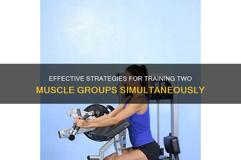 Effective Strategies For Training Two Muscle Groups Simultaneously ...