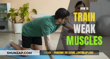 Training Your Sphincter Muscle: Tips And Tricks | CyVigor