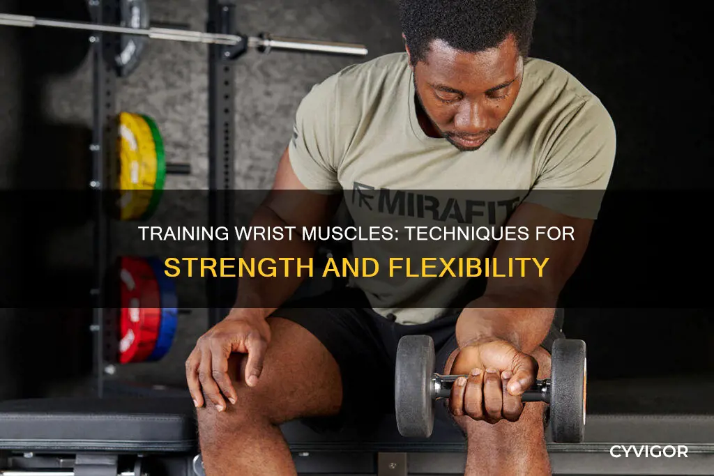Training Wrist Muscles: Techniques For Strength And Flexibility | CyVigor