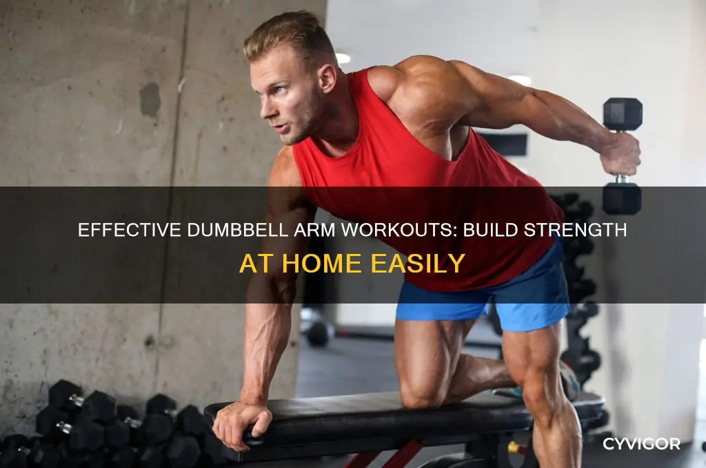 Effective Dumbbell Arm Workouts: Build Strength At Home Easily | CyVigor