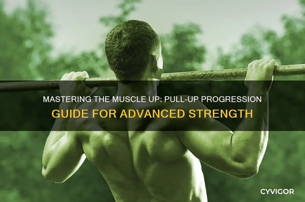 Mastering The Muscle Up: Pull-Up Progression Guide For Advanced ...