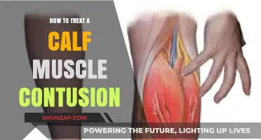 Effective Calf Muscle Training: Tips And Exercises For Strong, Toned ...