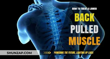 Identifying A Pulled Bicep Muscle: Symptoms, Causes, And Recovery Tips ...