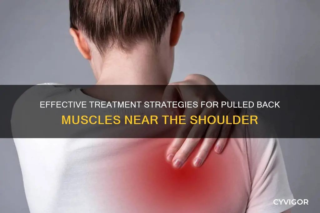 Effective Treatment Strategies For Pulled Back Muscles Near The ...