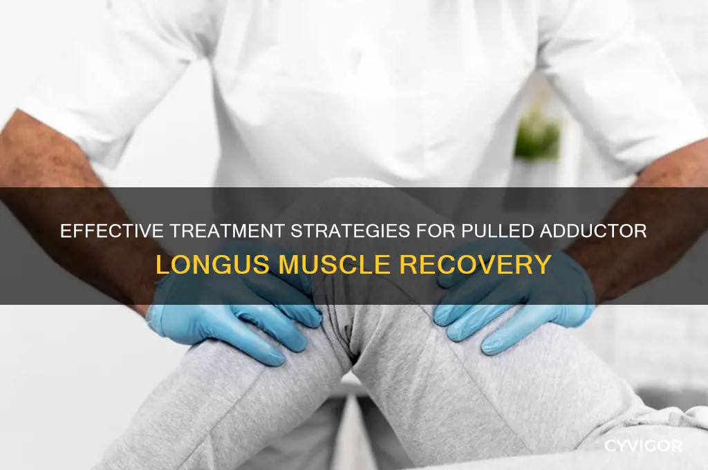 Effective Treatment Strategies For Pulled Adductor Longus Muscle ...