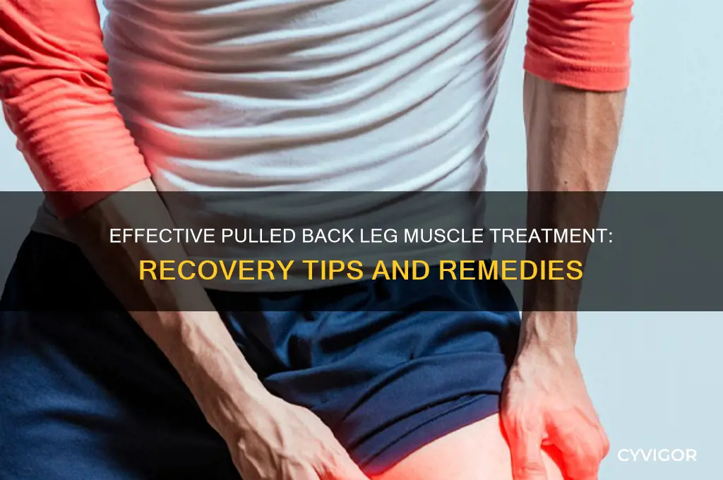Effective Pulled Back Leg Muscle Treatment: Recovery Tips And Remedies ...