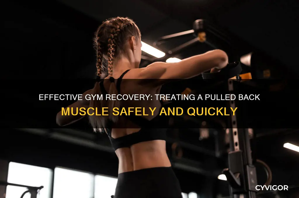 Effective Gym Recovery: Treating A Pulled Back Muscle Safely And ...