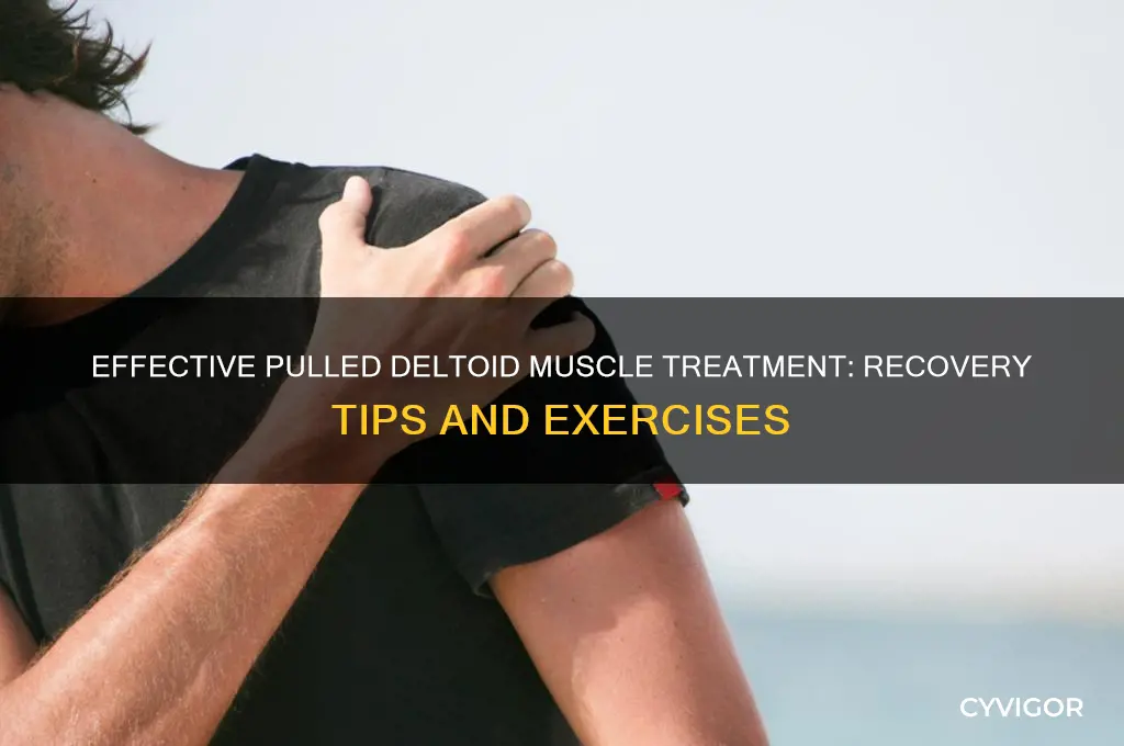 Effective Pulled Deltoid Muscle Treatment: Recovery Tips And Exercises ...