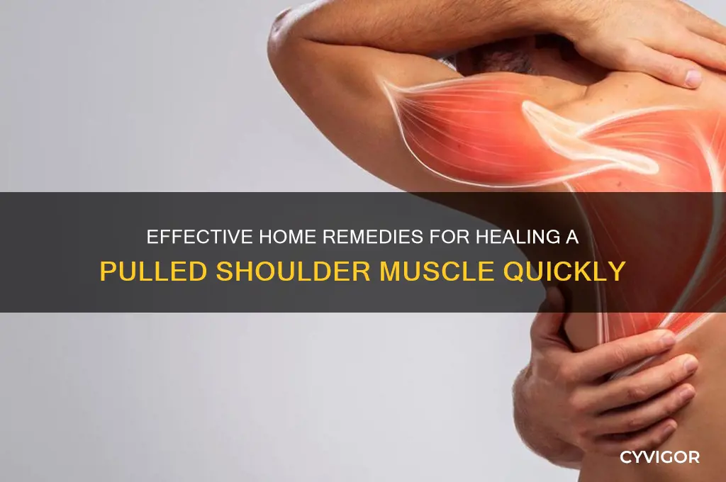 Effective Home Remedies For Healing A Pulled Shoulder Muscle Quickly ...