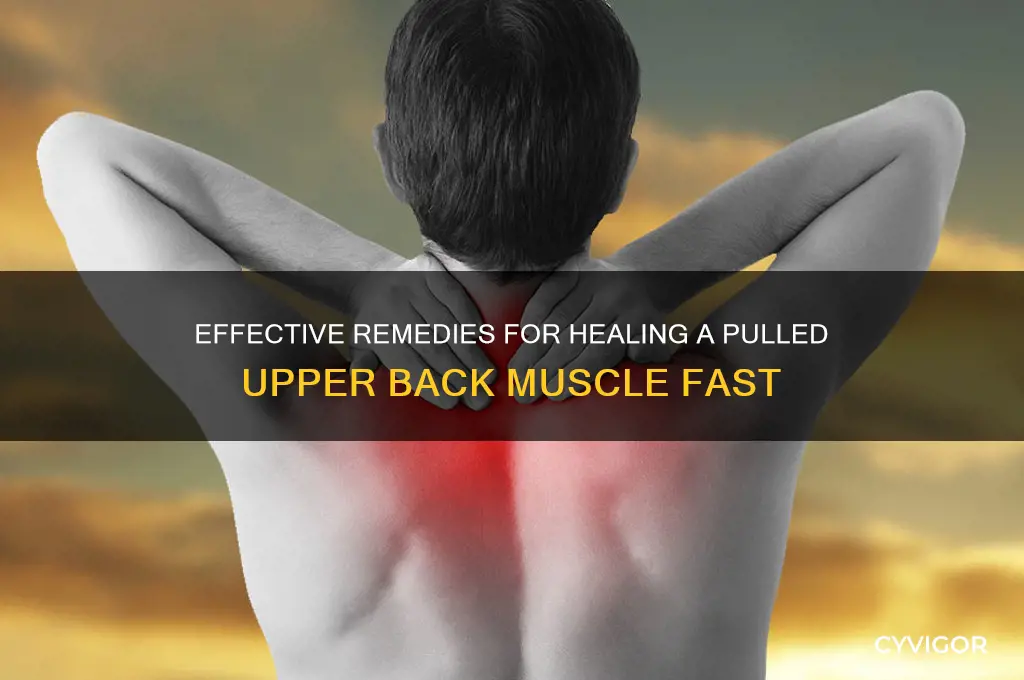 Effective Remedies For Healing A Pulled Upper Back Muscle Fast | CyVigor