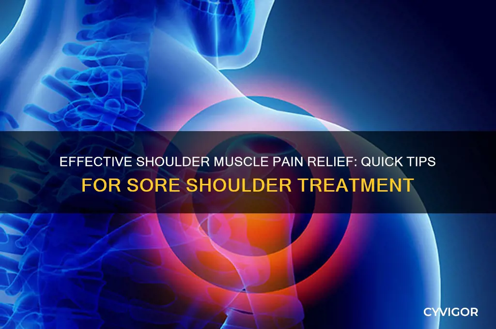 Effective Shoulder Muscle Pain Relief: Quick Tips For Sore Shoulder ...