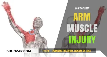 Effective Arm Warm-Up Techniques For Muscle Flexibility And Injury ...