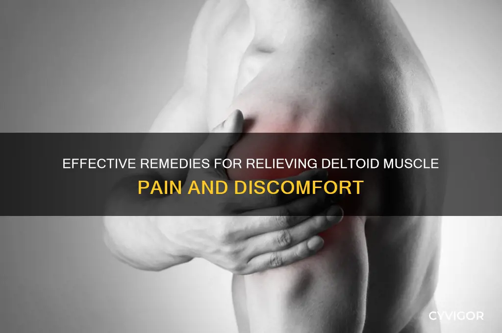 Effective Remedies For Relieving Deltoid Muscle Pain And Discomfort ...