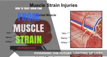 Effective Remedies For Relieving Flank Muscle Pain: A Comprehensive ...