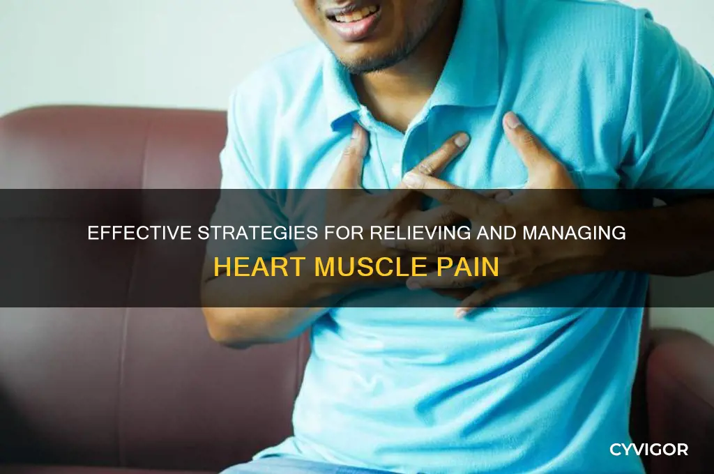 Effective Strategies For Relieving And Managing Heart Muscle Pain | CyVigor