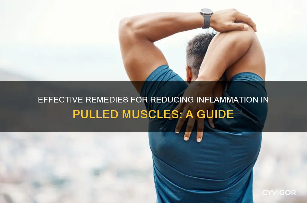 Effective Remedies For Reducing Inflammation In Pulled Muscles: A Guide ...