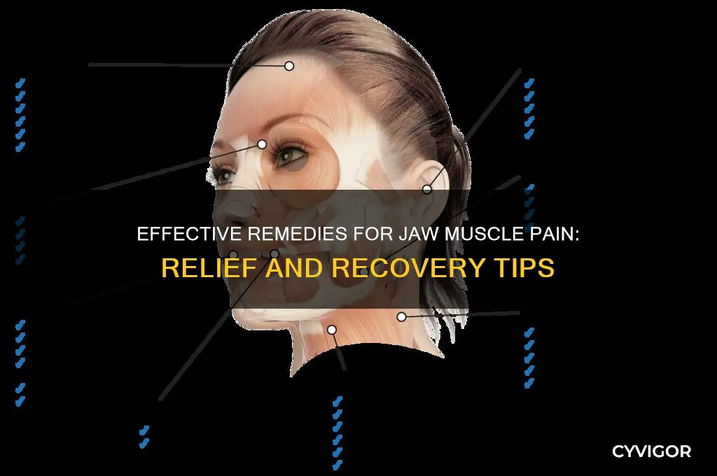 Effective Remedies For Jaw Muscle Pain: Relief And Recovery Tips | CyVigor