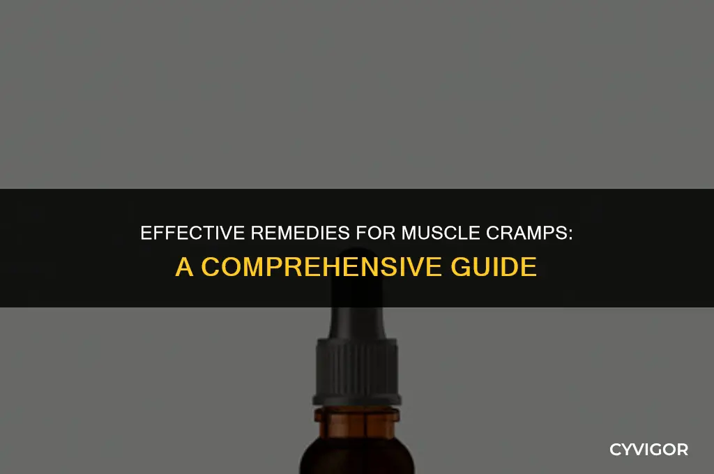 Effective Remedies For Muscle Cramps: A Comprehensive Guide | CyVigor