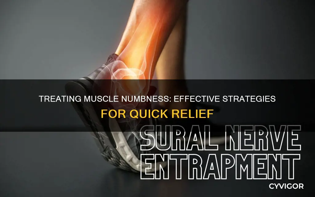 Treating Muscle Numbness: Effective Strategies For Quick Relief | CyVigor