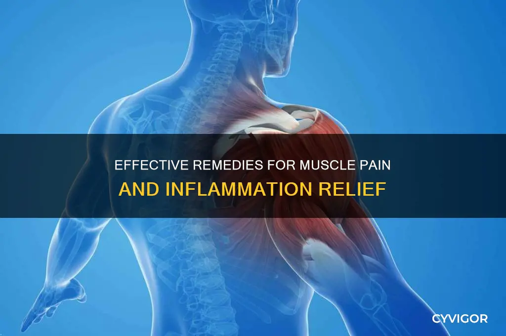 Effective Remedies For Muscle Pain And Inflammation Relief | CyVigor