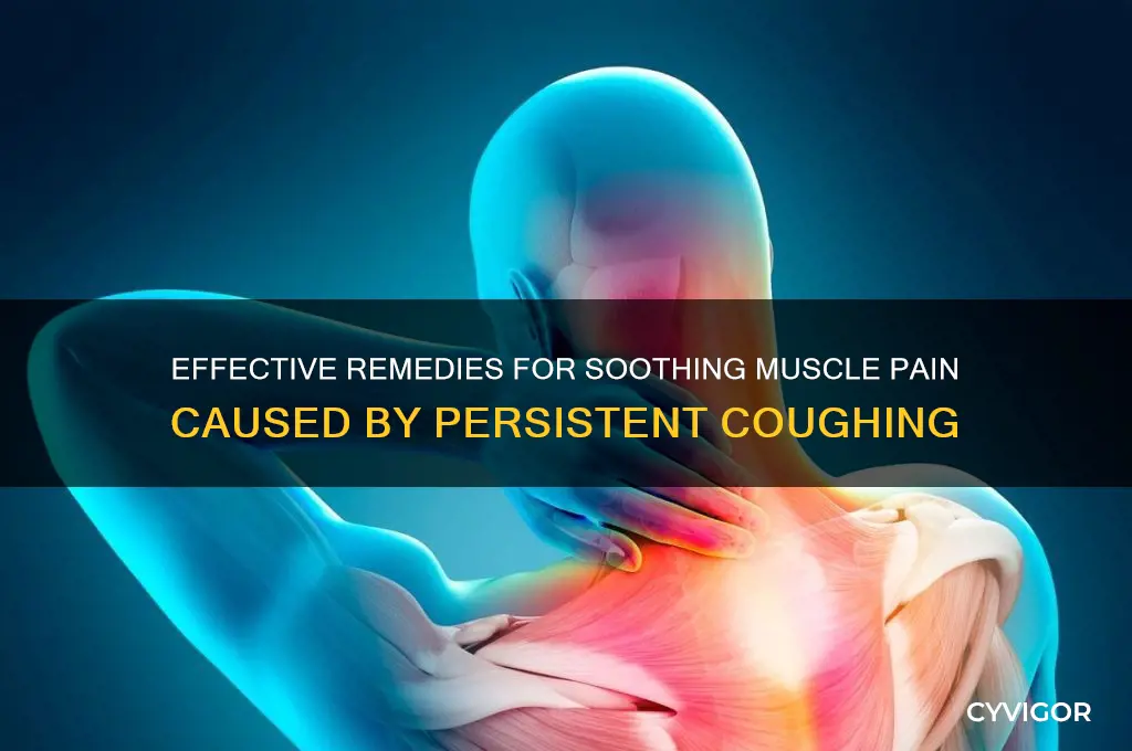 Effective Remedies For Soothing Muscle Pain Caused By Persistent ...