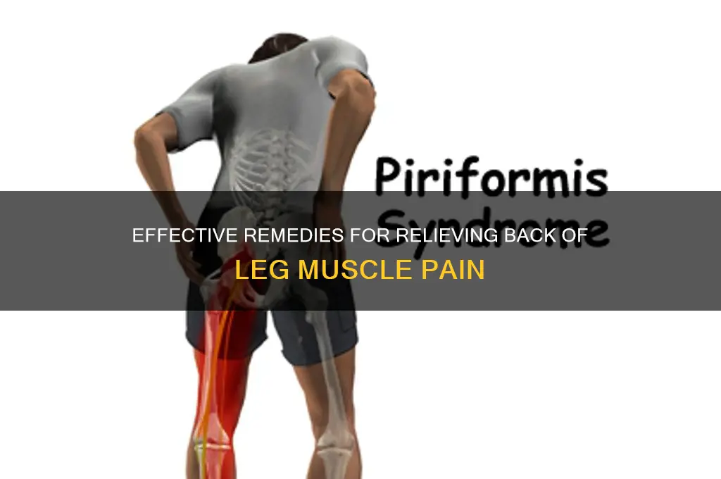 Effective Remedies For Relieving Back Of Leg Muscle Pain | CyVigor