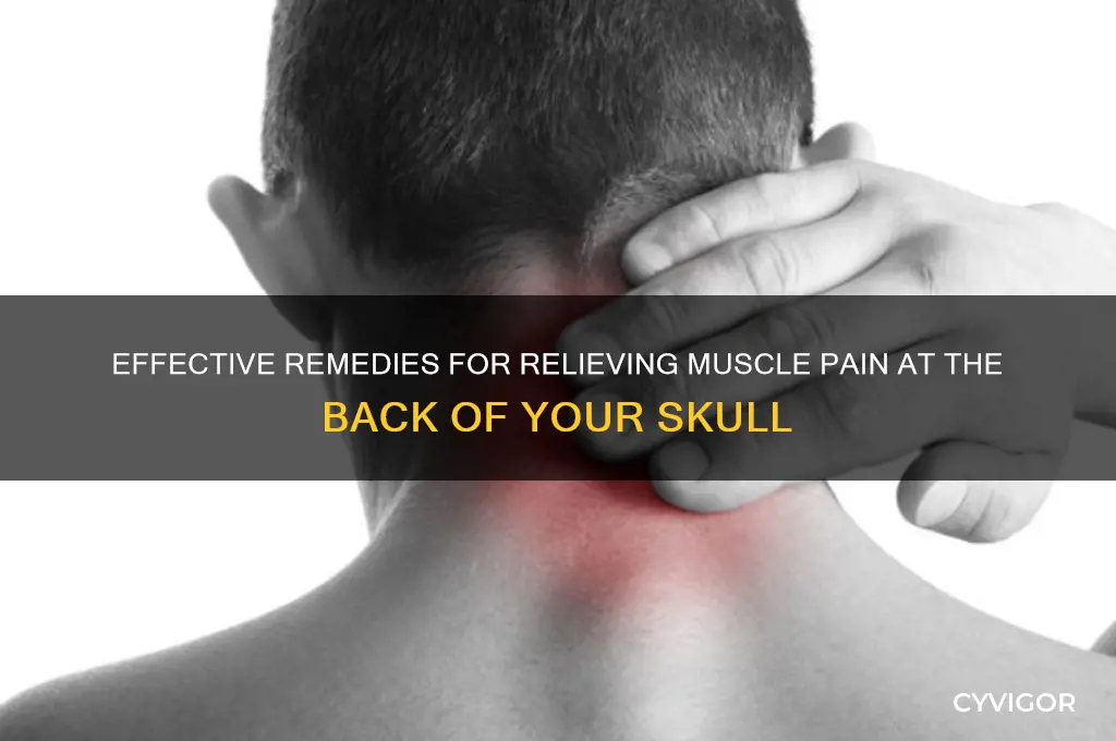 Effective Remedies For Relieving Muscle Pain At The Back Of Your Skull ...