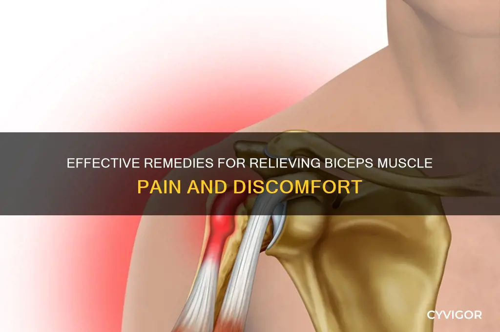 Effective Remedies For Relieving Biceps Muscle Pain And Discomfort ...