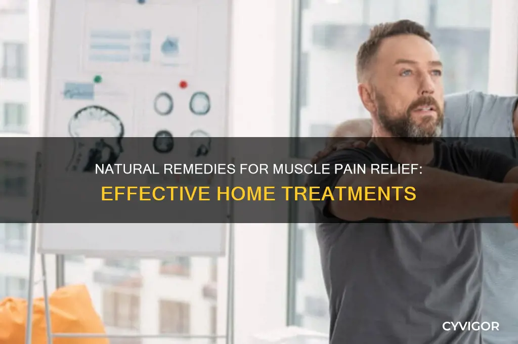 Natural Remedies For Muscle Pain Relief: Effective Home Treatments ...