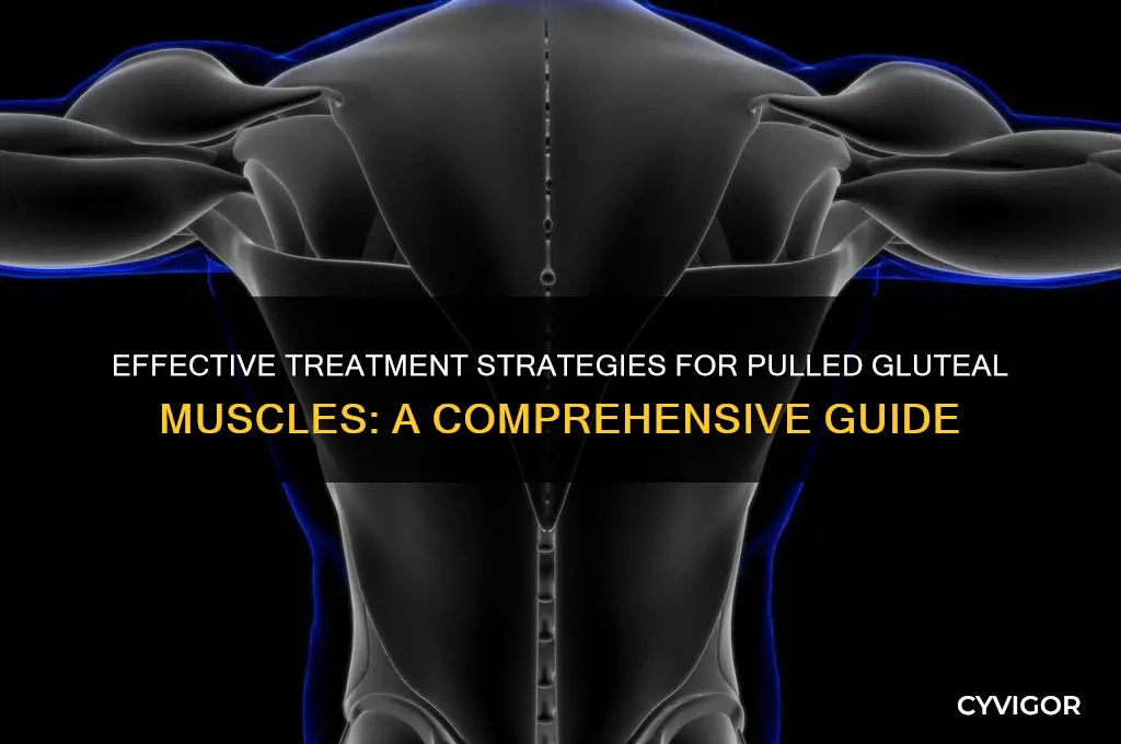 Effective Treatment Strategies For Pulled Gluteal Muscles: A ...
