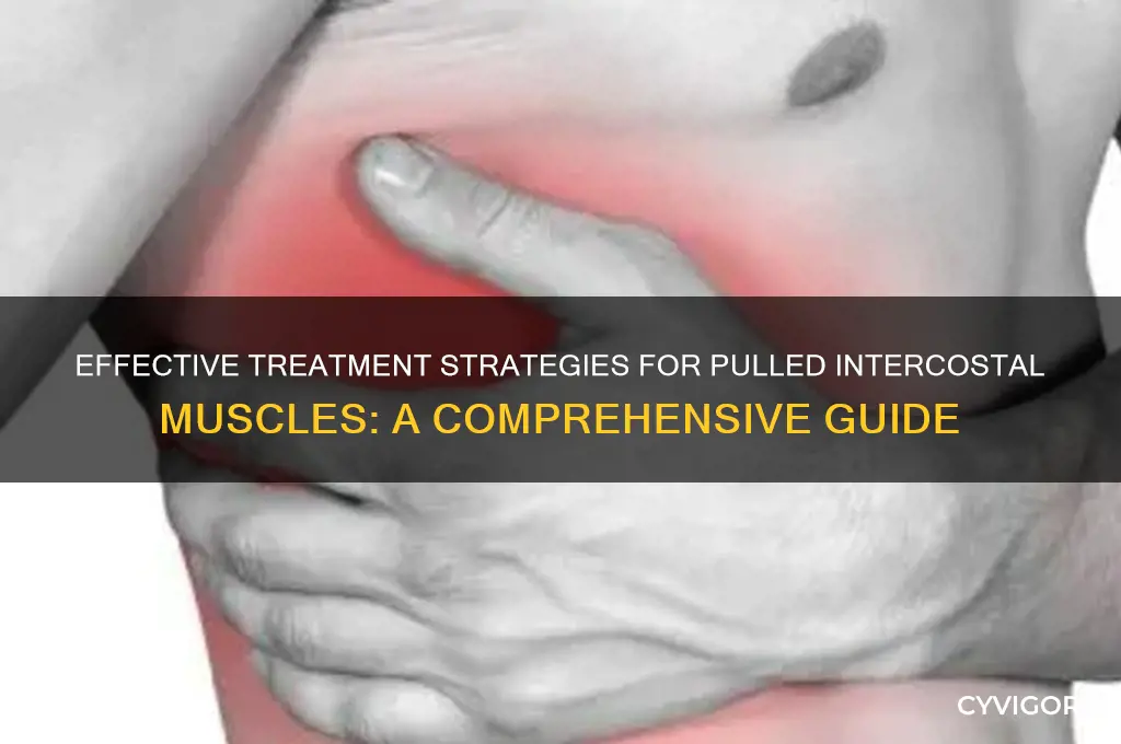 Effective Treatment Strategies For Pulled Intercostal Muscles: A ...