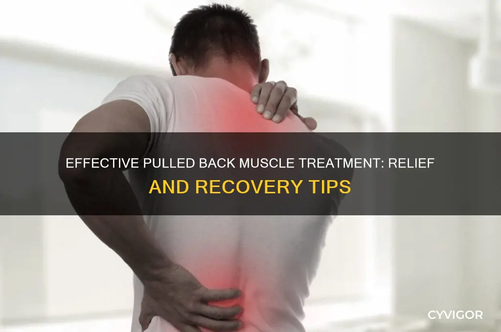 Effective Pulled Back Muscle Treatment: Relief And Recovery Tips | CyVigor