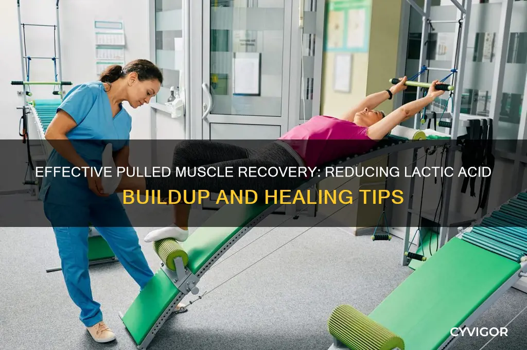 Effective Pulled Muscle Recovery: Reducing Lactic Acid Buildup And ...
