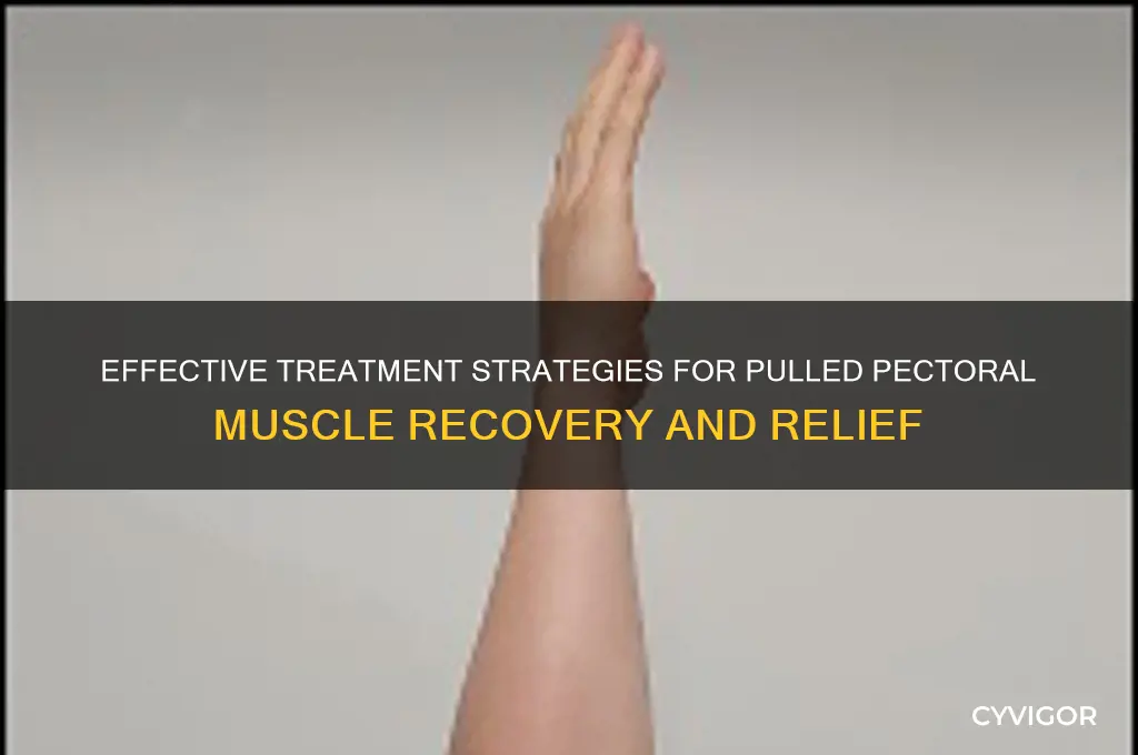 Effective Treatment Strategies For Pulled Pectoral Muscle Recovery And ...